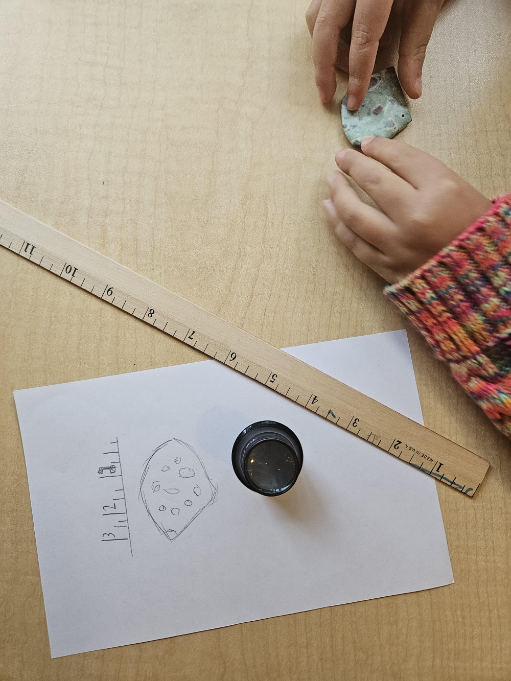 Local Olympia students get their hands on rocks and learn about Earth ...